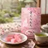 Buy Authentic Japanese Mochi & Daifuku Online in Australia | Snack Affair